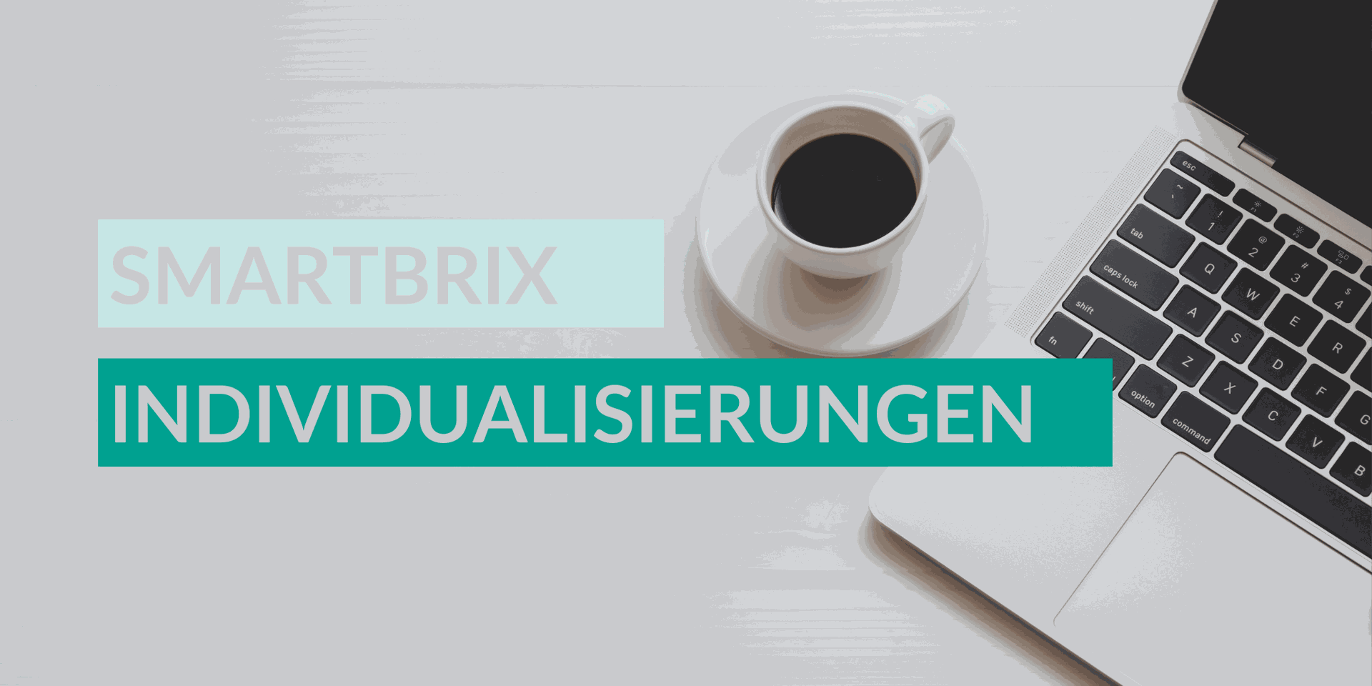 SMARTBRIX Individualisierungen